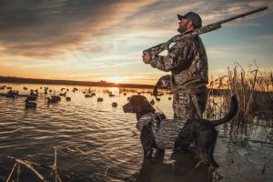 Avery Outdoors Website - Premium Hunting and Fishing Gear