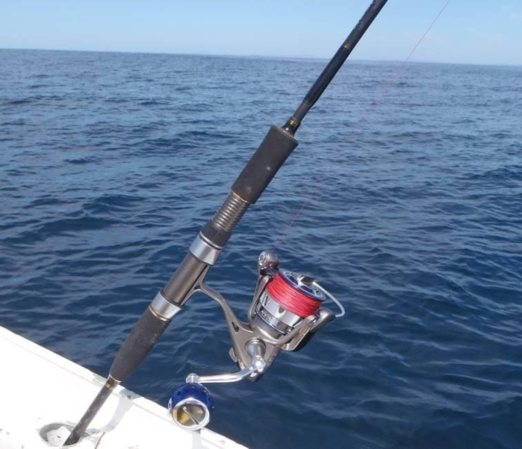 Ryobi Fishing Official Website - Premium Fishing Gear